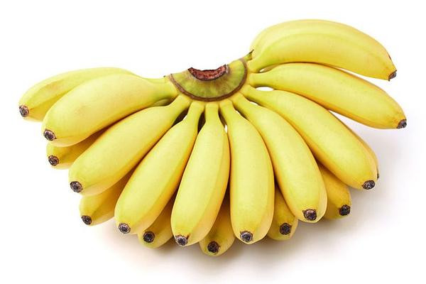 Banano bocadillo (Libra) :: BeeFruits